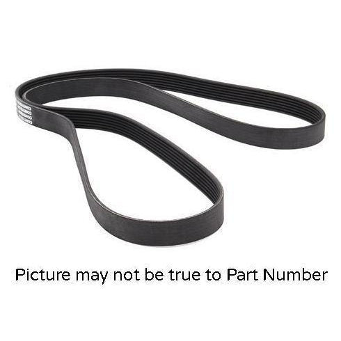 Multi-Ribbed Belt / Fan Belt - 6PK2300 — A1 Autoparts Niddrie